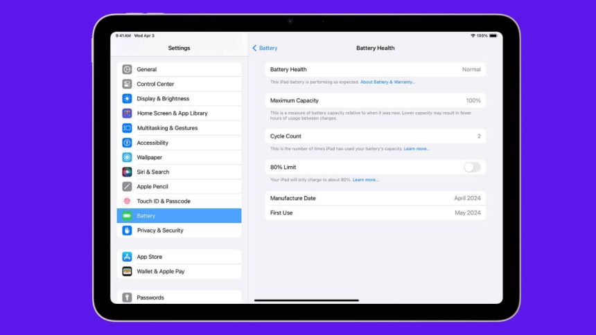 How to Check iPad Battery Health: Guide